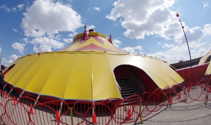 Royal Canadian Circus - 365 Things To Do In Etobicoke